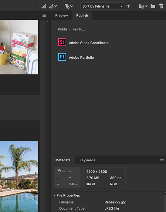 Adobe Bridge Review (Best Free Alternative to Lightroom?)