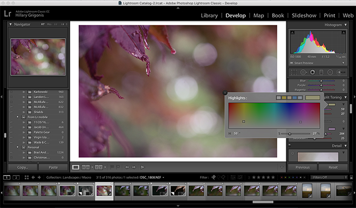 How to Use Split Toning in Lightroom (5 Simple Steps)