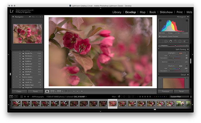 How to Use Split Toning in Lightroom (5 Simple Steps)