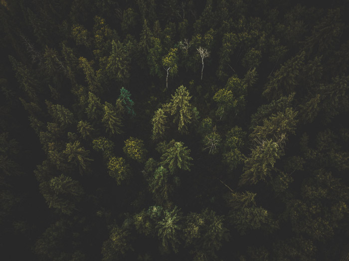 Lens Vignetting (Types, Tips and How to Get Rid of It)