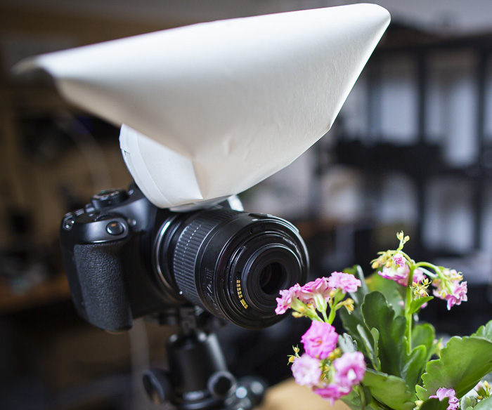 How to Make an Easy DIY Flash Diffuser for Macro Photography