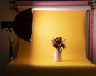 Softbox vs Umbrella - Which is Best for Lighting in 2026?