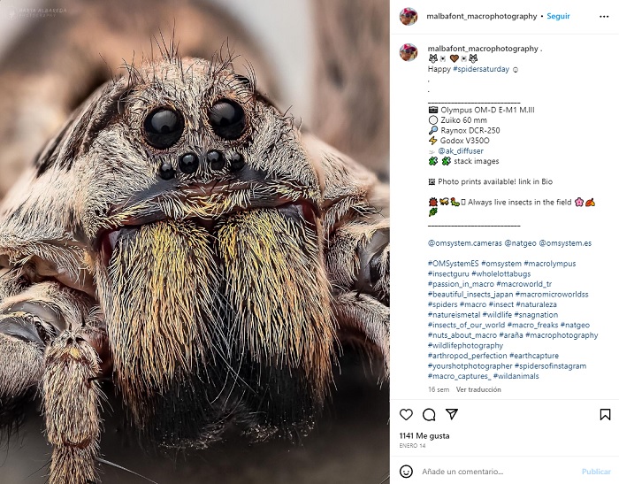 30 Most Influential Macro Photographers to Follow in 2026