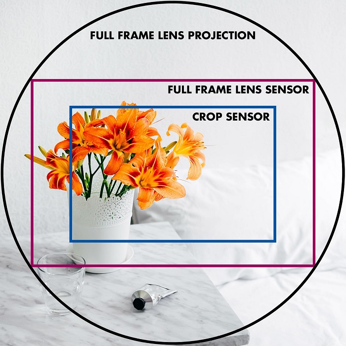 What is Crop Factor? (How Does it Affect Photos?)